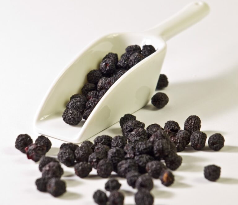 Hvad er aronia bær, hvor finder man dem og hvordan smager de?